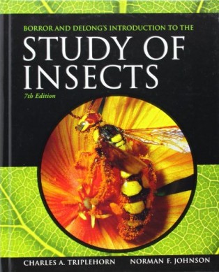 The Best Books on Bugs - Five Books Expert Recommendations