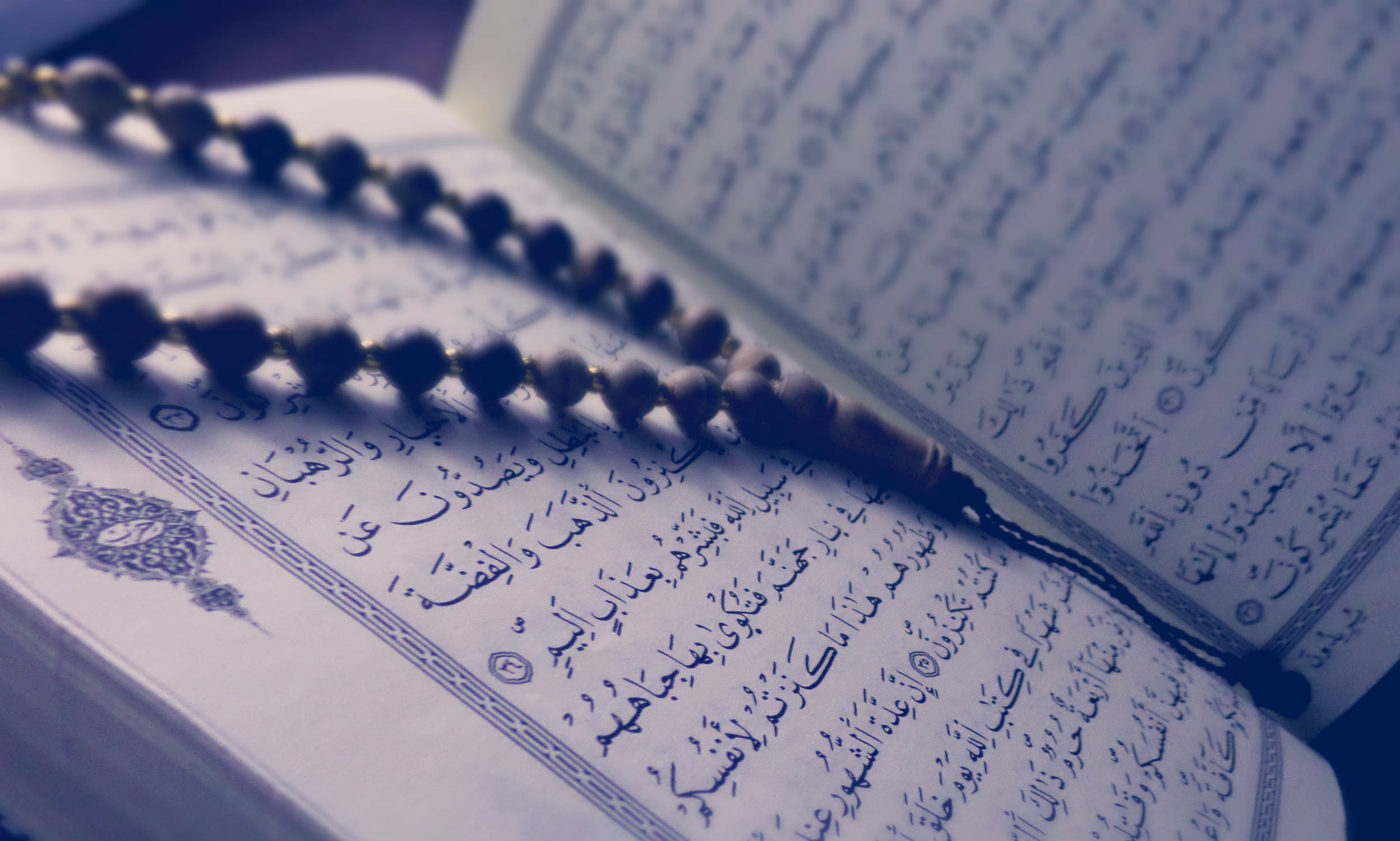 Islamic Books - Five Books Expert Recommendations
