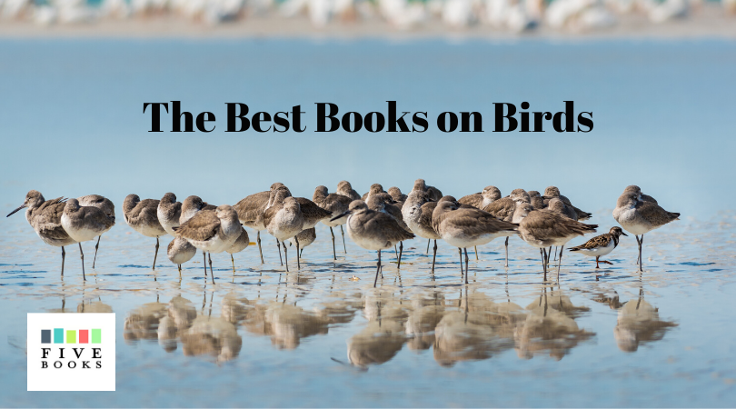 Birds and Birdwatching - Five Books Expert Recommendations