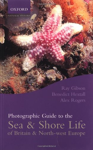Books on Tides and Shorelines - Five Books Expert Recommendations