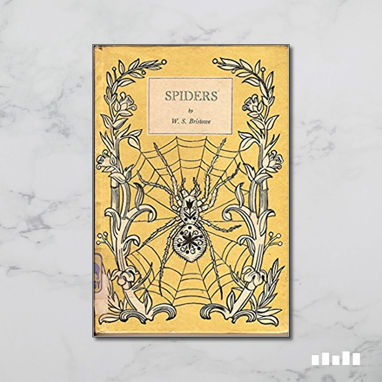 A Book of Spiders - Five Books Expert Reviews