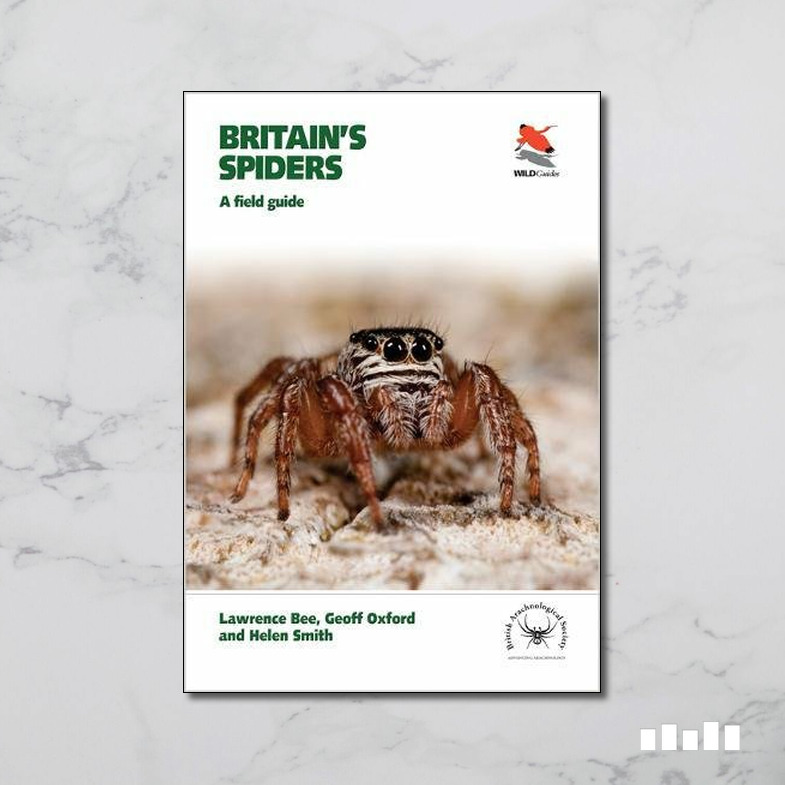Britain's Spiders: A Field Guide - Five Books Expert Reviews