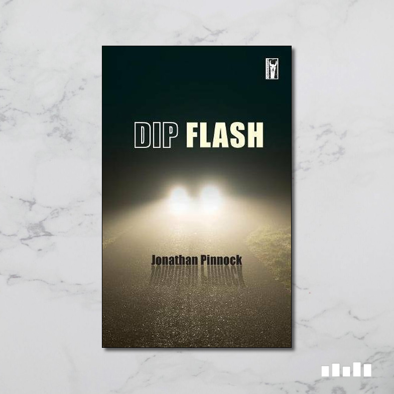 Dip Flash - Five Books Expert Reviews