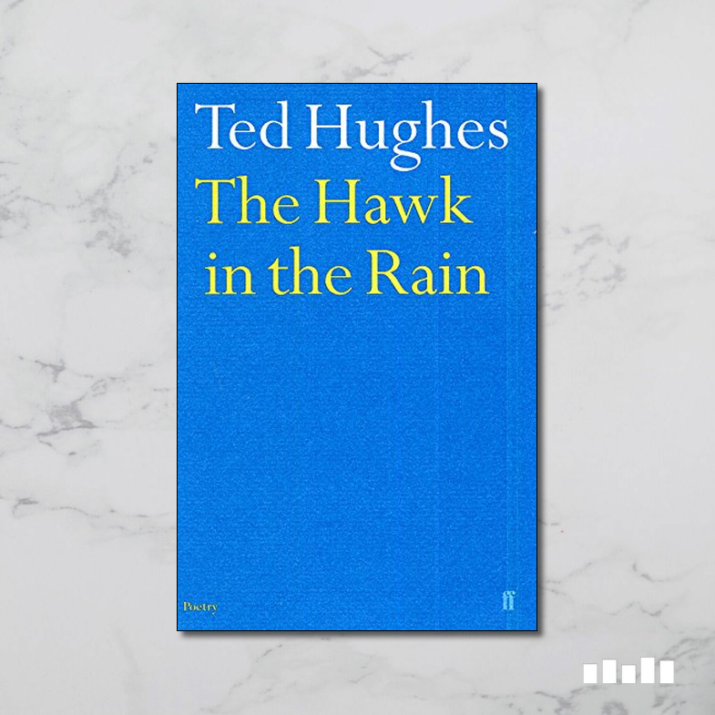 Hawk In The Rain - Five Books Expert Reviews