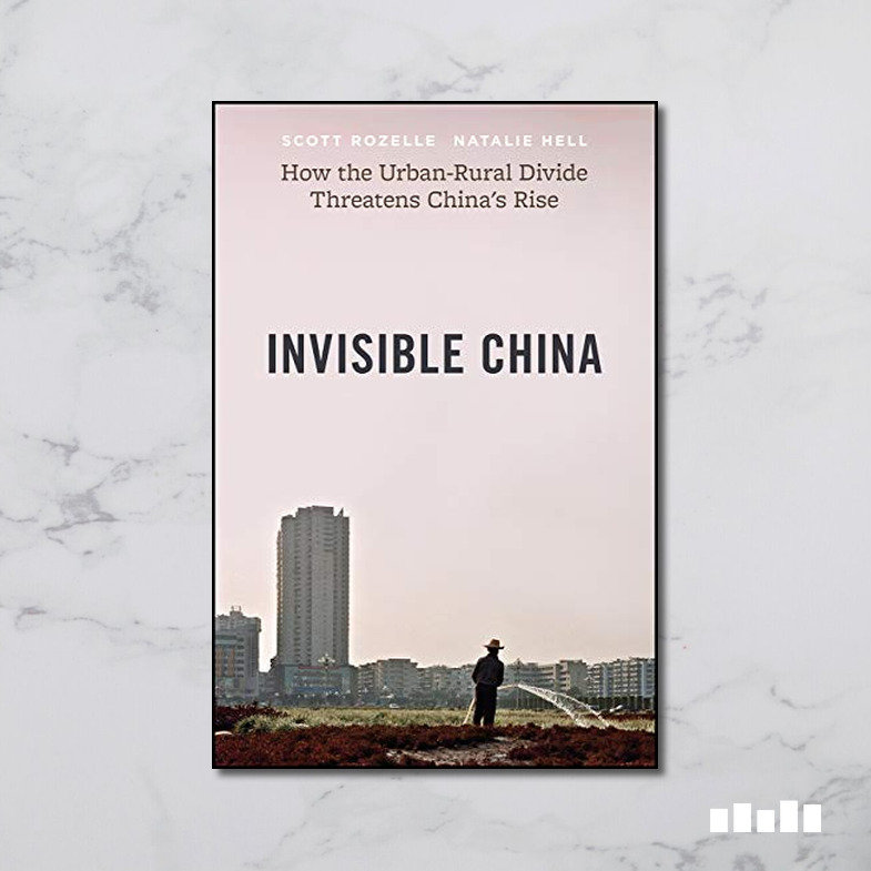Invisible China: How the Urban-Rural Divide Threatens China’s Rise ...