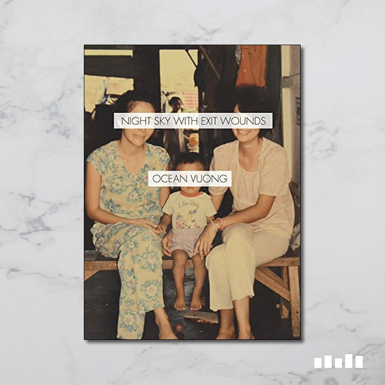 Night Sky with Exit Wounds - Five Books Expert Reviews