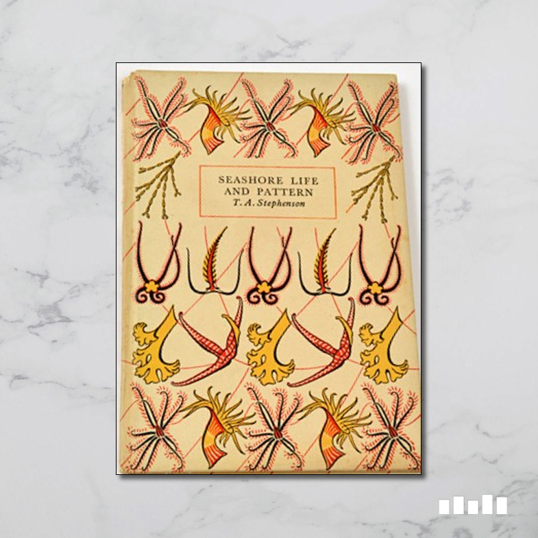 Seashore Life and Pattern - Five Books Expert Reviews