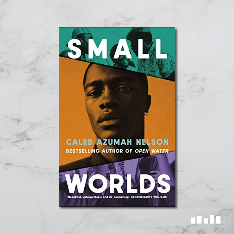 Small Worlds - Five Books Expert Reviews