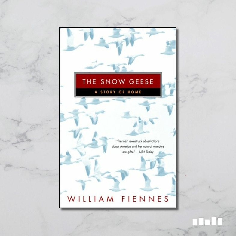 The Snow Geese - Five Books Expert Reviews