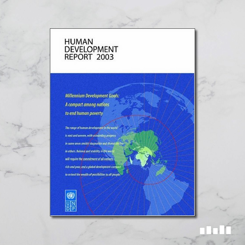 UNDP, The Human Development Report 2003 - Five Books Expert Reviews