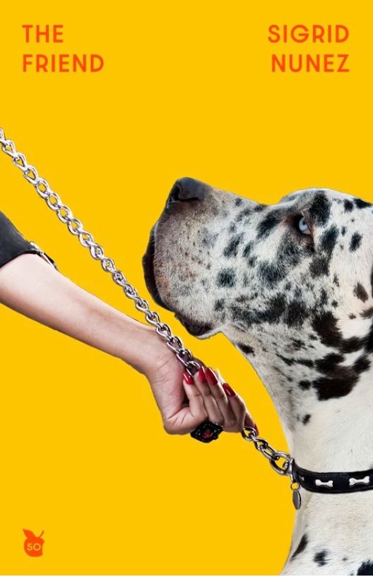 The Best Feminist Books: 50 Years of Virago Press