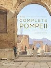 The Best Books on Pompeii - Five Books Expert Recommendations
