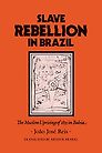Brazil Books - Five Books Expert Recommendations